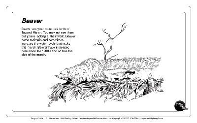 Life Drawing & Education - b&w wayside - tuzigoot